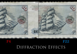 Sony FE 20-70mm F4 G Review - DustinAbbott.net