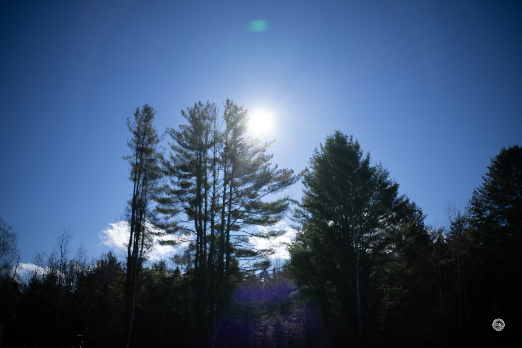 BS28-Samples-6 - DustinAbbott.net