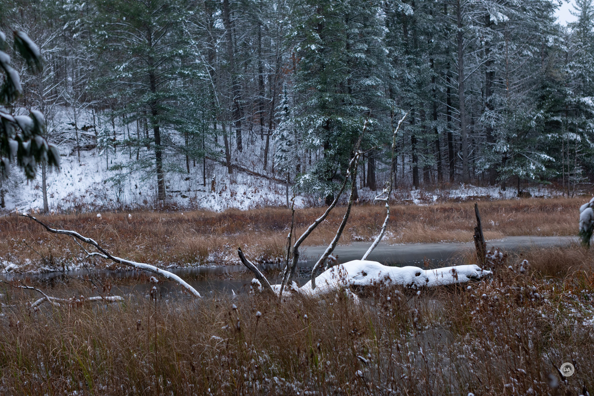 33mm-Photos-50 - DustinAbbott.net