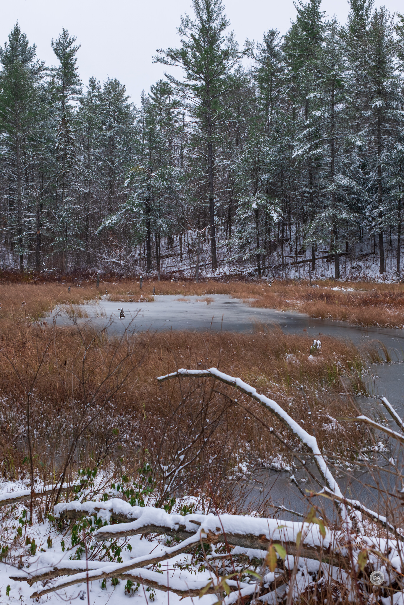 33mm-Photos-51 - DustinAbbott.net