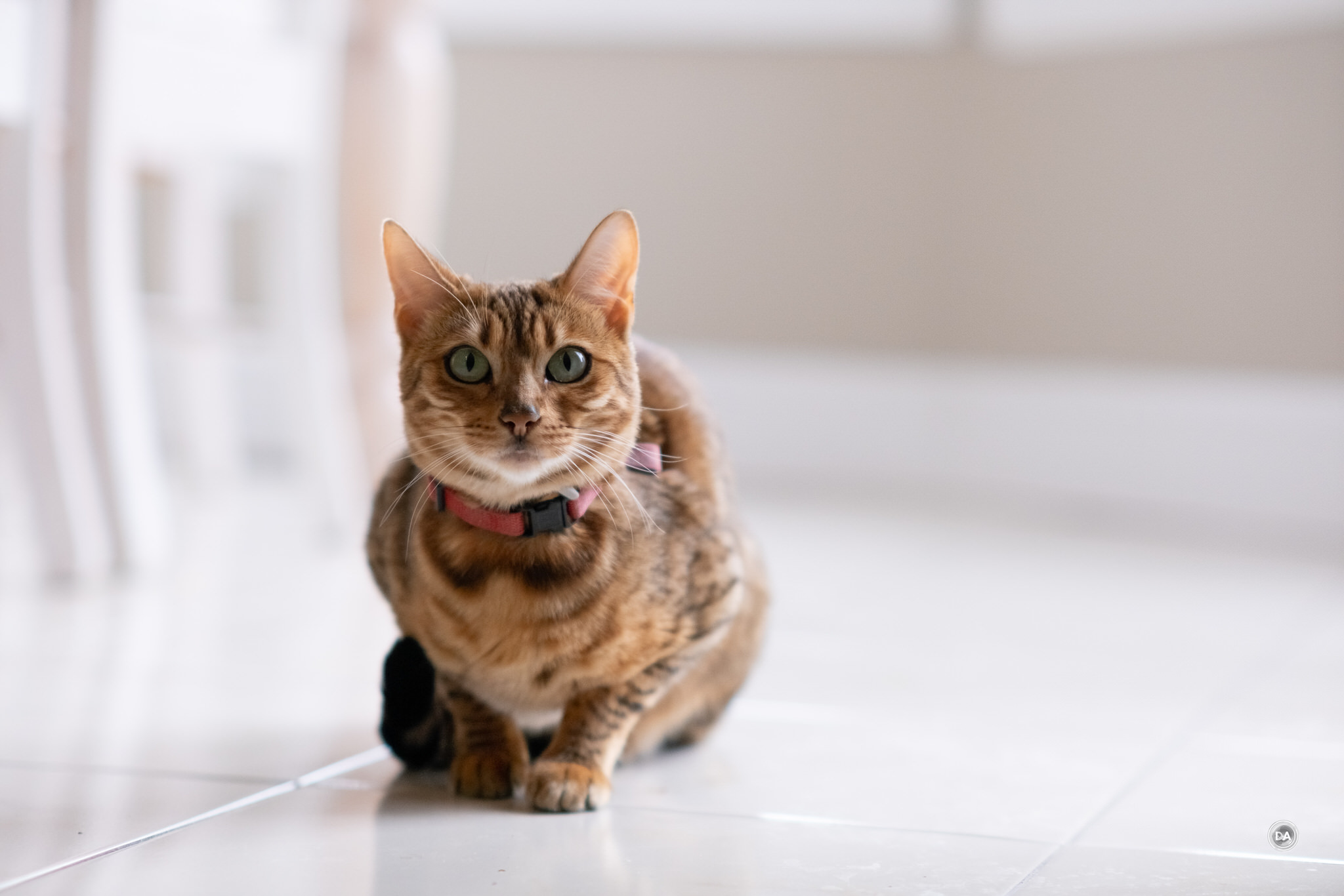 56mm-Photos-33 - DustinAbbott.net