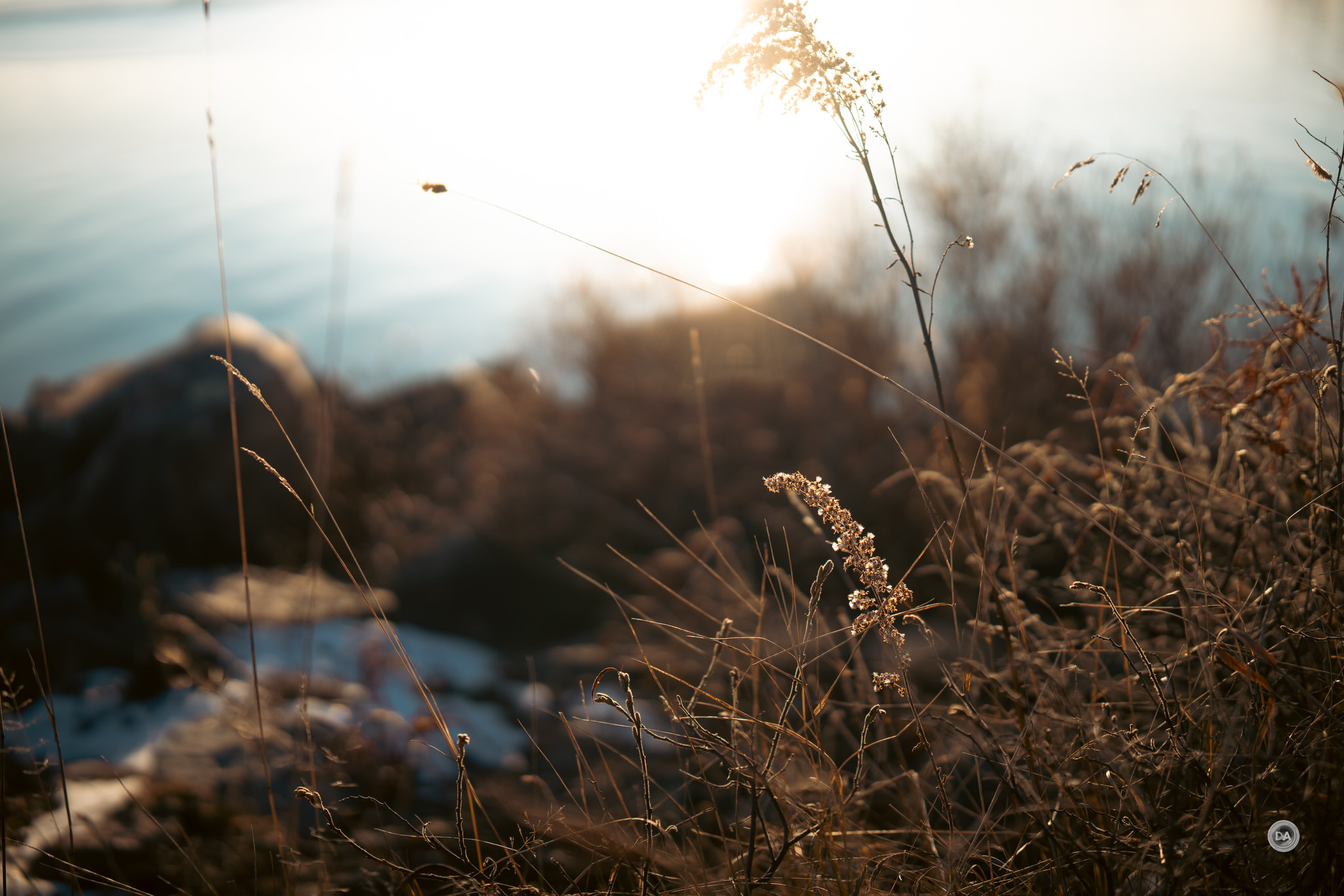 Pro27-Samples-14 - DustinAbbott.net