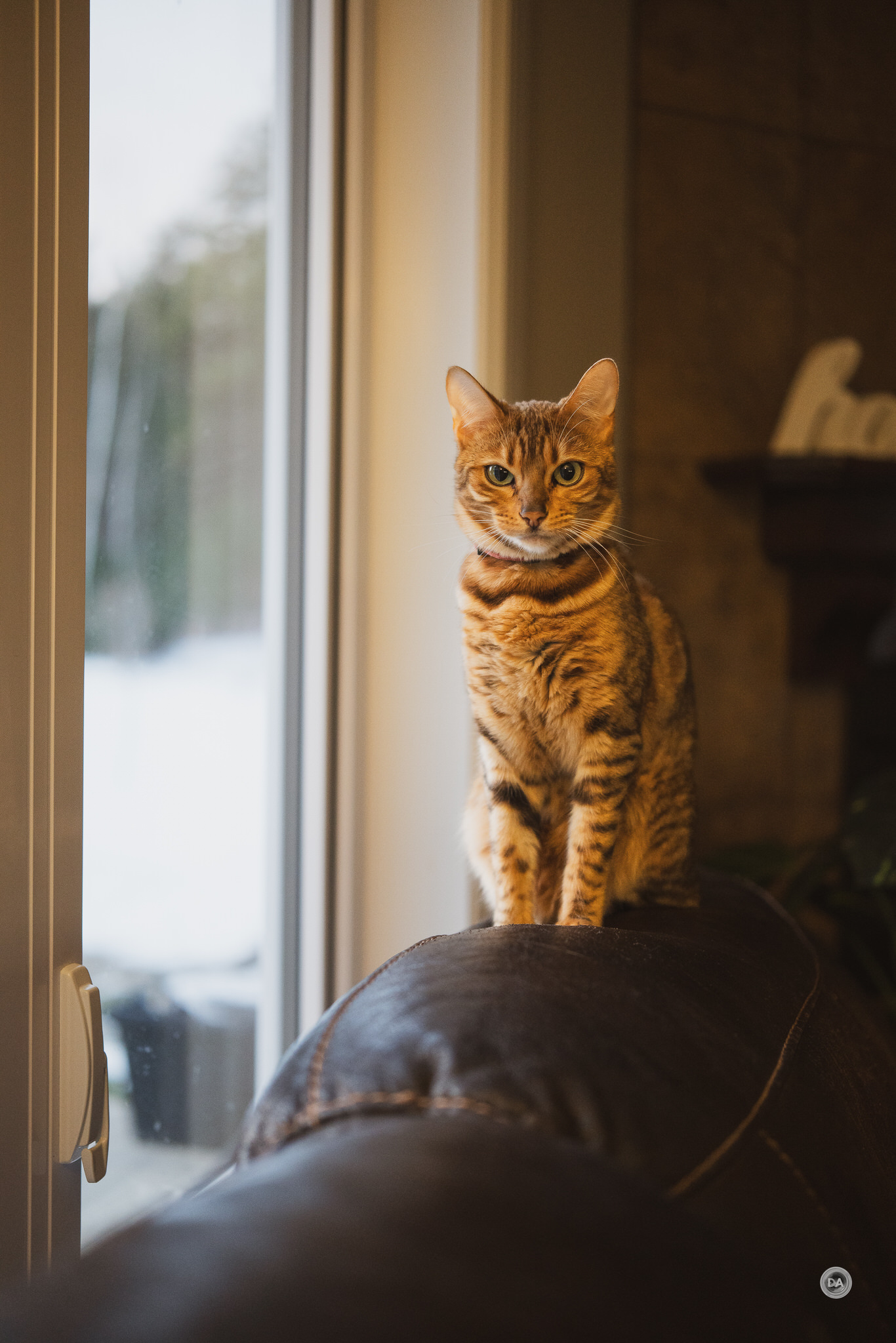 Pro27-Samples-42 - DustinAbbott.net