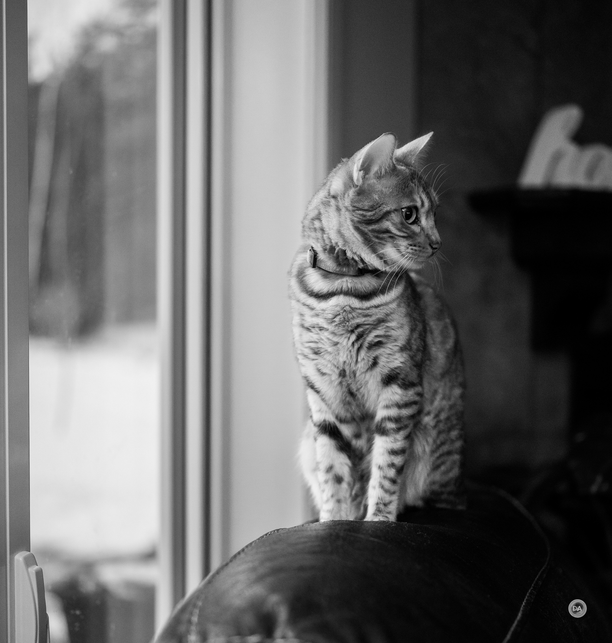 Pro27-Samples-43 - DustinAbbott.net