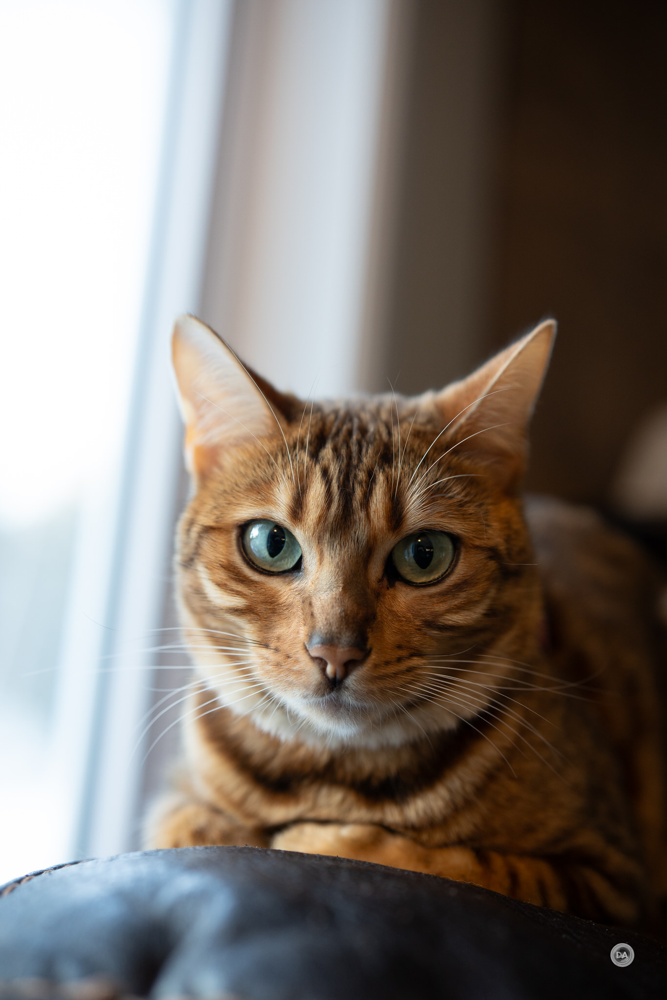 Pro27-Samples-48 - DustinAbbott.net