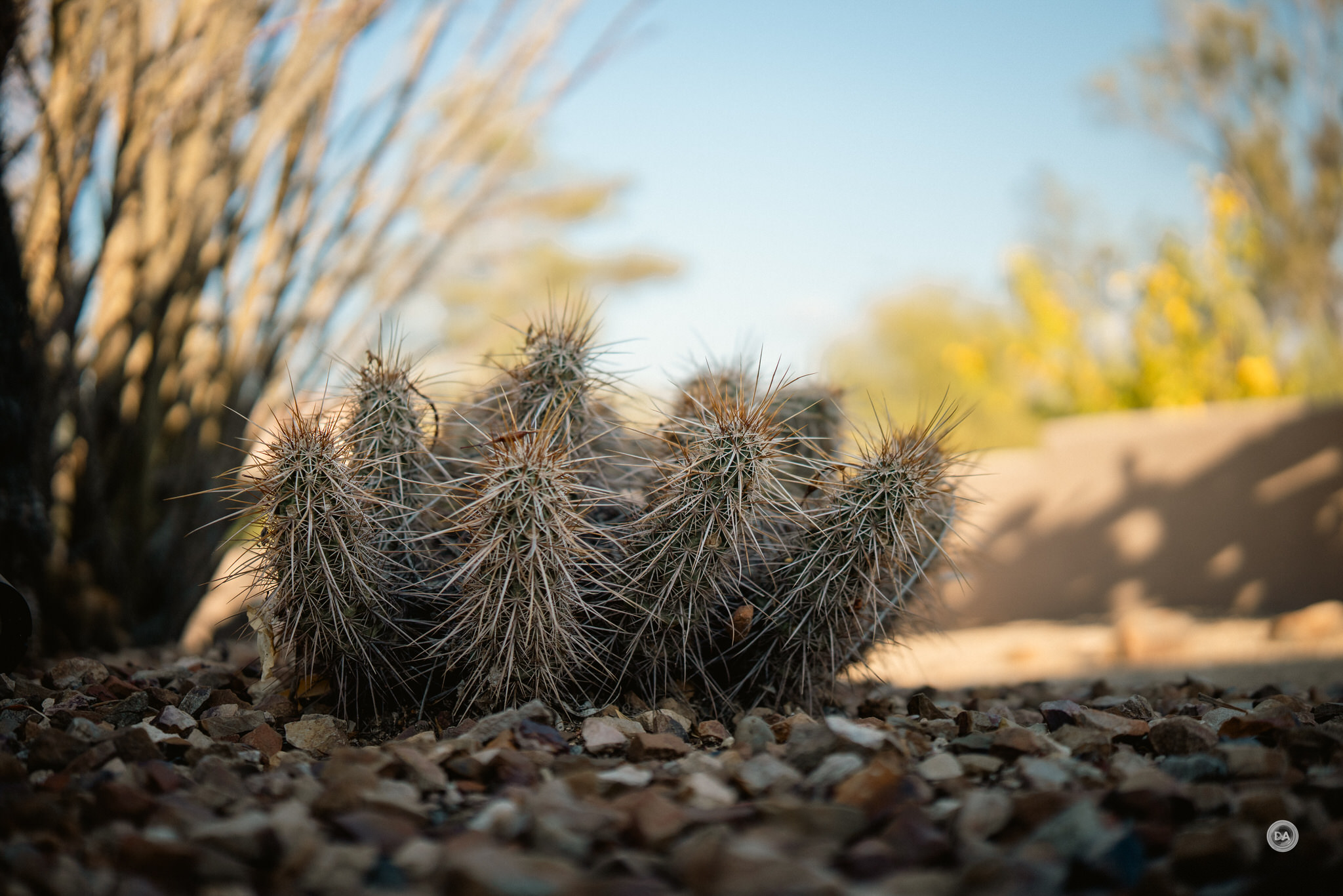 Pro27-Samples-58 - DustinAbbott.net