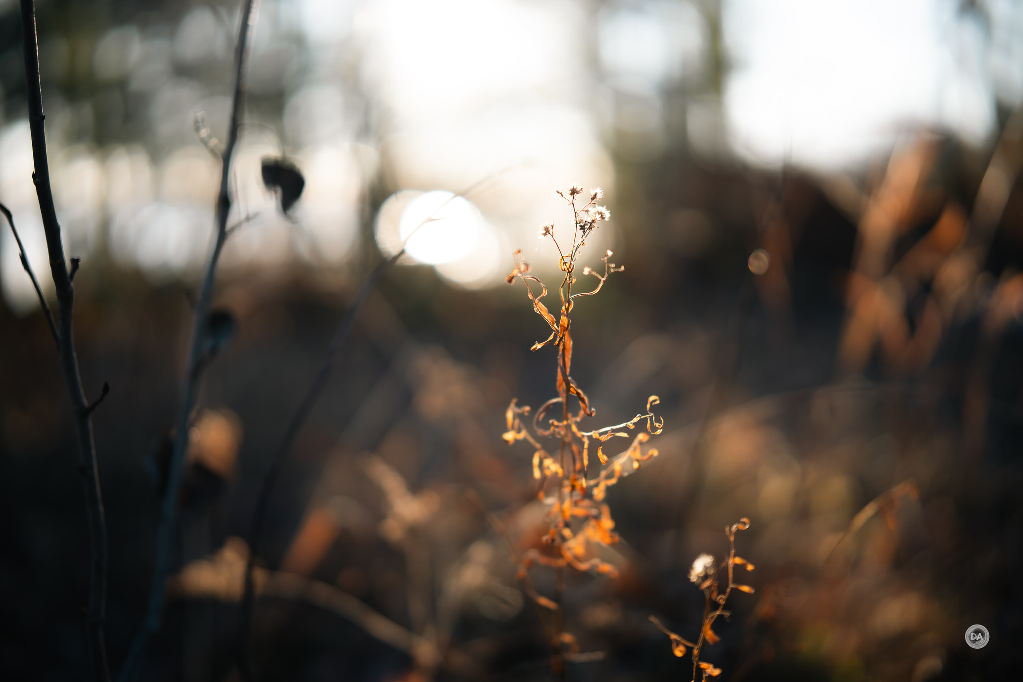 Pro27-Samples-6 - DustinAbbott.net