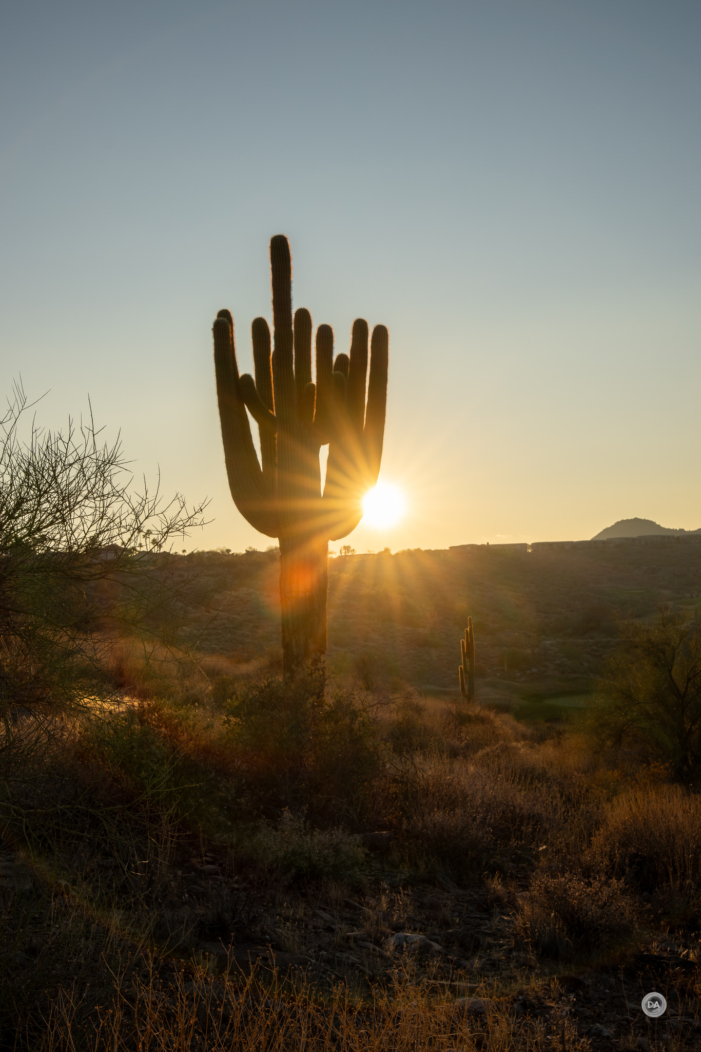 Pro27-Samples-66 - DustinAbbott.net