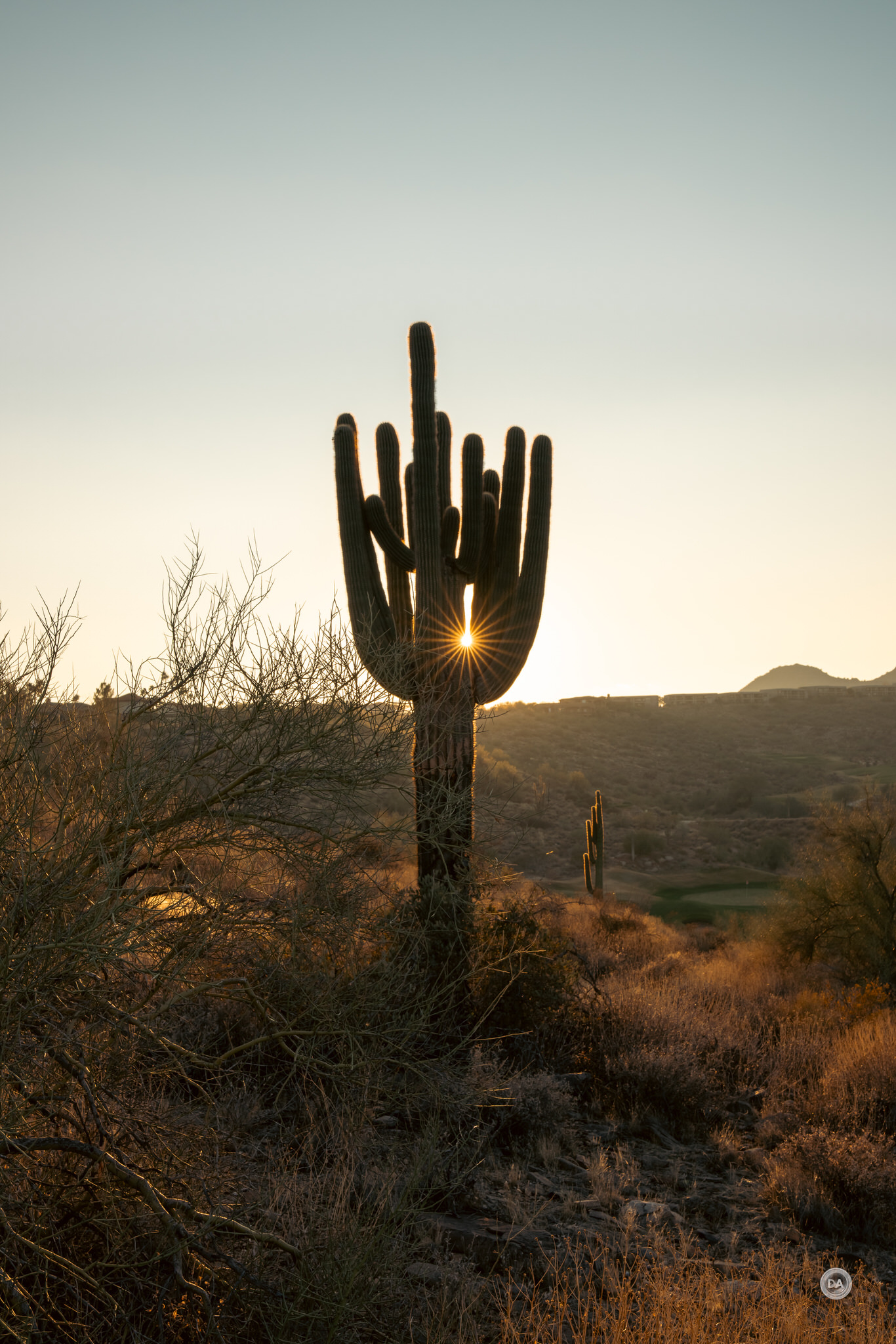 Pro27-Samples-67 - DustinAbbott.net