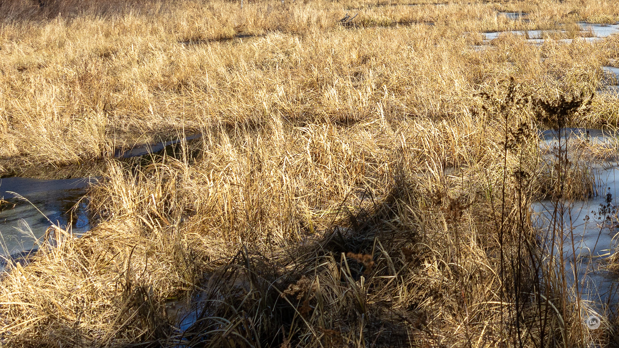 28-Real-World-3 - DustinAbbott.net