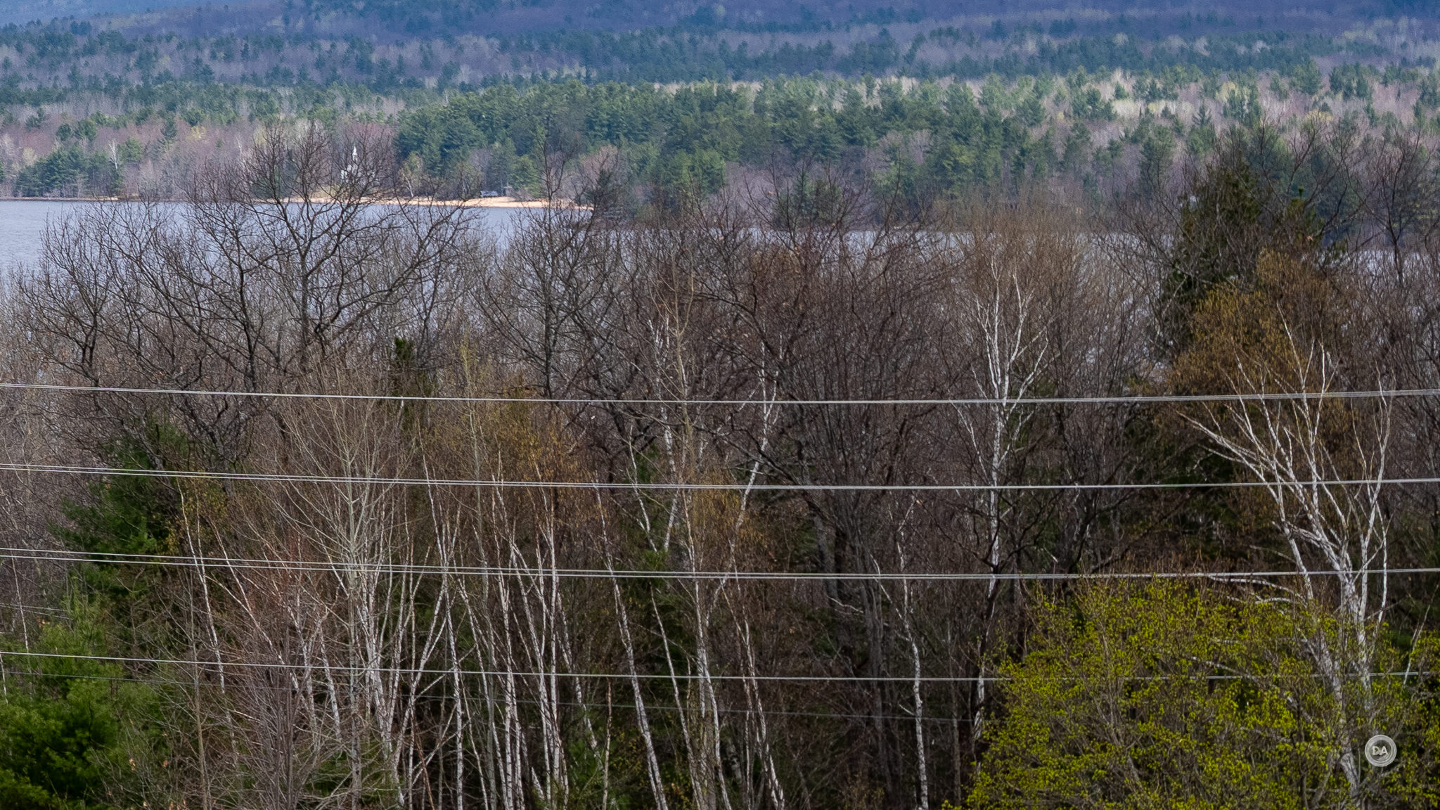 41-Real-World-70mm-3 - DustinAbbott.net