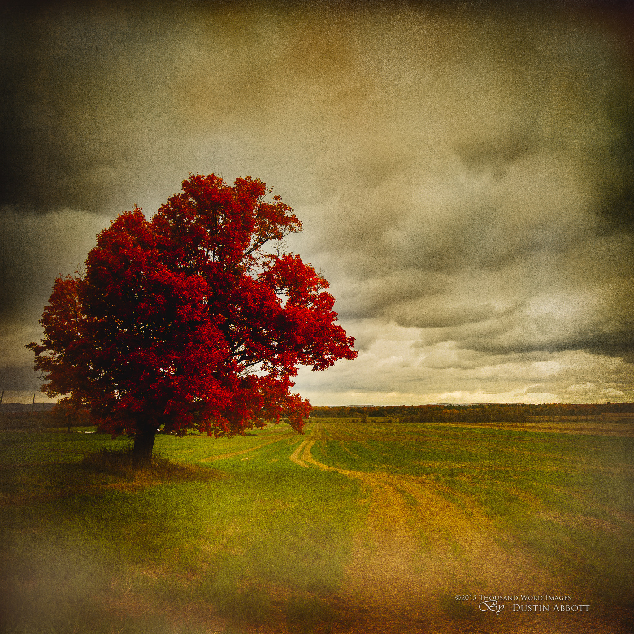 I Remember Red - DustinAbbott.net