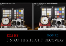 Canon EOS R3 Review - DustinAbbott.net