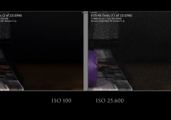 Canon EOS R5 Review - DustinAbbott.net