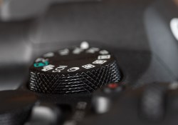 Canon EOS R6 MK II Review - DustinAbbott.net