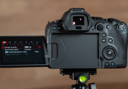 Canon EOS R6 MK II Review - DustinAbbott.net