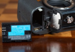 Canon EOS R6 MK II Review - DustinAbbott.net