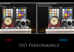 Canon EOS R6 MK II Review - DustinAbbott.net