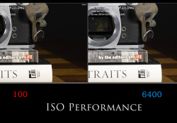 Canon EOS R6 MK II Review - DustinAbbott.net