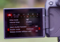 Canon EOS R7 Review - DustinAbbott.net