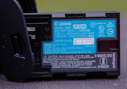 Canon EOS R7 Review - DustinAbbott.net