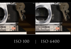 Canon EOS R7 Review - DustinAbbott.net