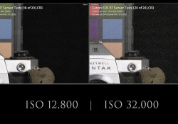 Canon EOS R7 Review - DustinAbbott.net