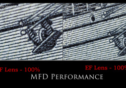 Canon RF 100mm F2.8L Macro IS USM Review - DustinAbbott.net