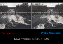 Canon RF 24mm F1.8 Macro IS STM Review - DustinAbbott.net