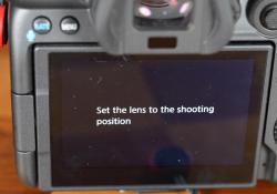 Canon RF 800mm F11 IS STM Review - DustinAbbott.net