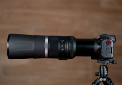 Canon RF 800mm F11 IS STM Review - DustinAbbott.net