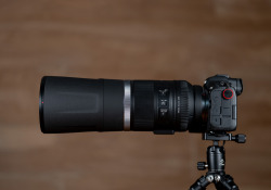 Canon RF 800mm F11 IS STM Review - DustinAbbott.net