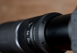 Canon RF 800mm F11 IS STM Review - DustinAbbott.net