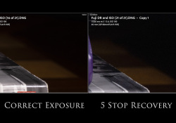 FUJIFILM GFX100S Medium Format Camera Review - DustinAbbott.net