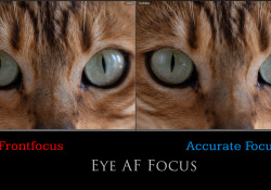 Fujinon GF 55mm F1.7 R WR Review - DustinAbbott.net