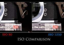 Fujifilm GFX100 II Medium Format Camera Review - DustinAbbott.net