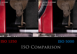 Fujifilm GFX100 II Medium Format Camera Review - DustinAbbott.net