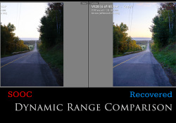 Fujifilm GFX100S II Medium Format Camera Review - DustinAbbott.net