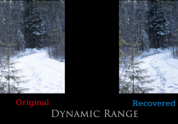 Fujifilm GFX50S II Review - DustinAbbott.net