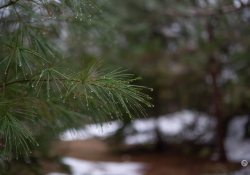 FujiFILM X-H2 Review - DustinAbbott.net