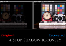 FUJIFILM X-S20 Review - DustinAbbott.net
