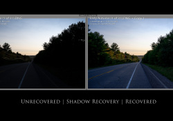 Fujfilm X-T200 Camera Review - DustinAbbott.net