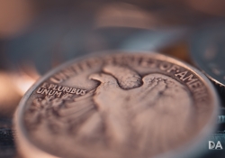 Irix 150mm F2.8 1:1 Macro Review - DustinAbbott.net