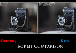 Samyang (Rokinon) AF 135mm F1.8 Review - DustinAbbott.net