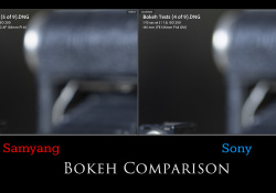 Samyang (Rokinon) AF 135mm F1.8 Review - DustinAbbott.net