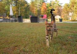 Sigma 10-18mm F2.8 DC DN Review - DustinAbbott.net