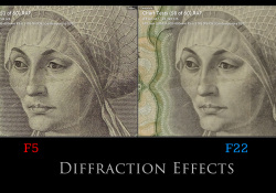 Sigma 100-400mm F5-6.3 DG DN OS (X-Mount) Review - DustinAbbott.net