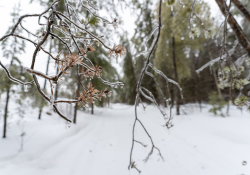 Sigma 17mm F4 DG DN (iSeries) Review - DustinAbbott.net