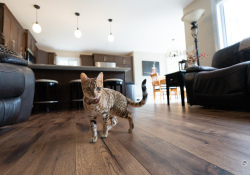 Sigma 17mm F4 DG DN (iSeries) Review - DustinAbbott.net