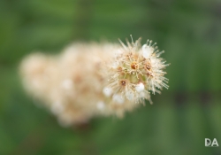 Sigma 24mm f1.4 ART Review - DustinAbbott.net